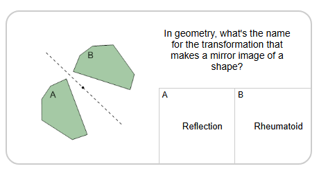 Transformations - Identify Type - First Time (Level 1) - Mobius Math ...