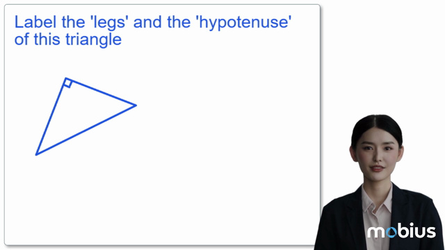 Label legs and hypotenuse of a triangle - Mobius Math