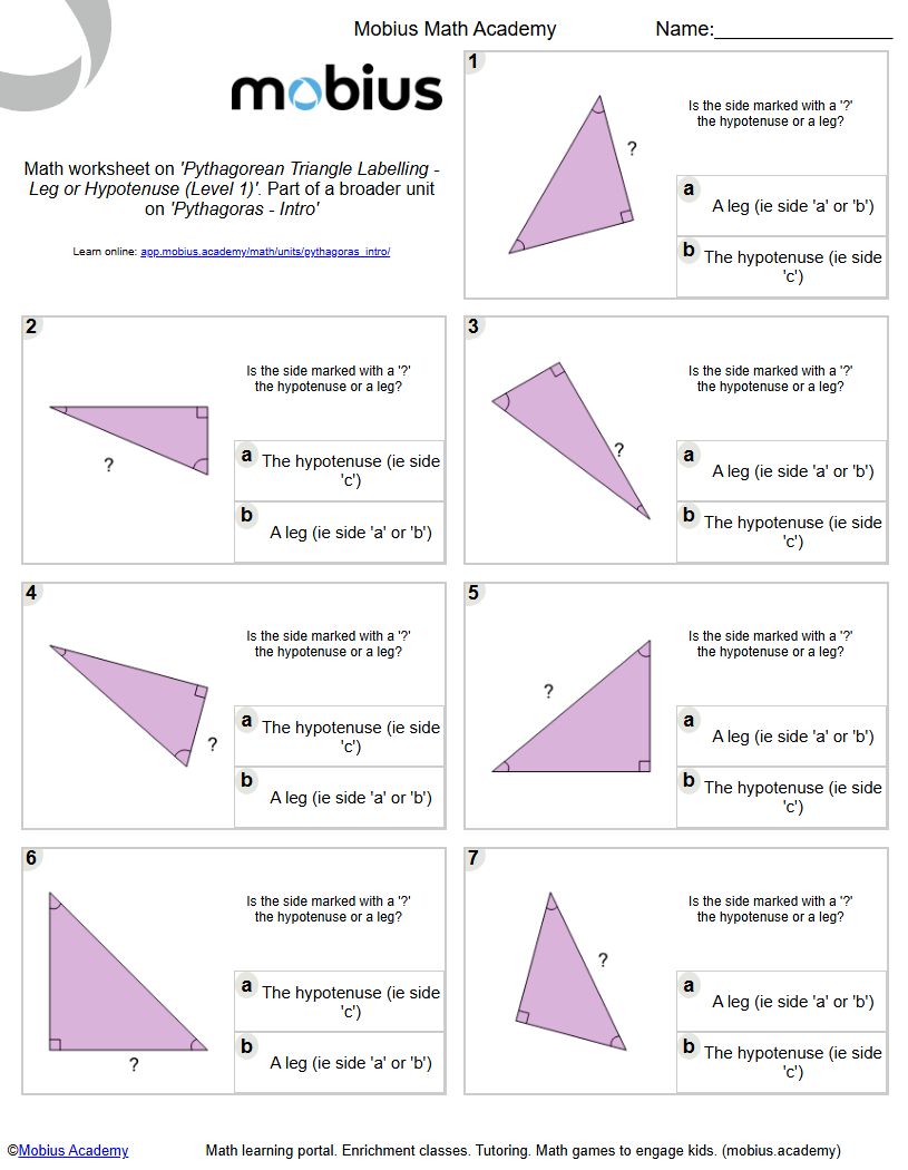 Pythagorean Triangle Labelling - Leg or Hypotenuse (Level 1) - Mobius ...